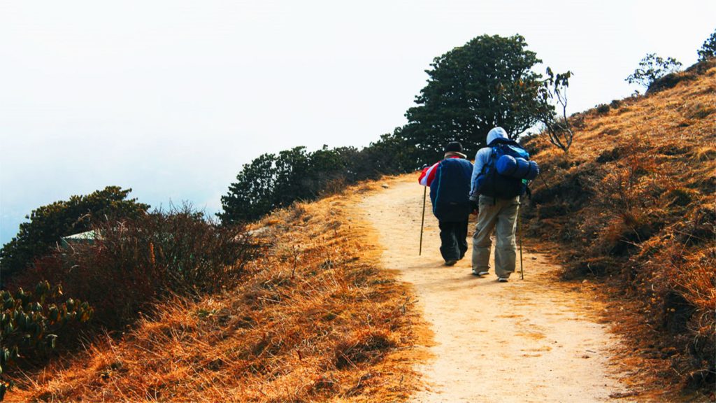 Sandakphu trek- Best trek in North Bengal via Ribdi-Gorkhey-Phalut