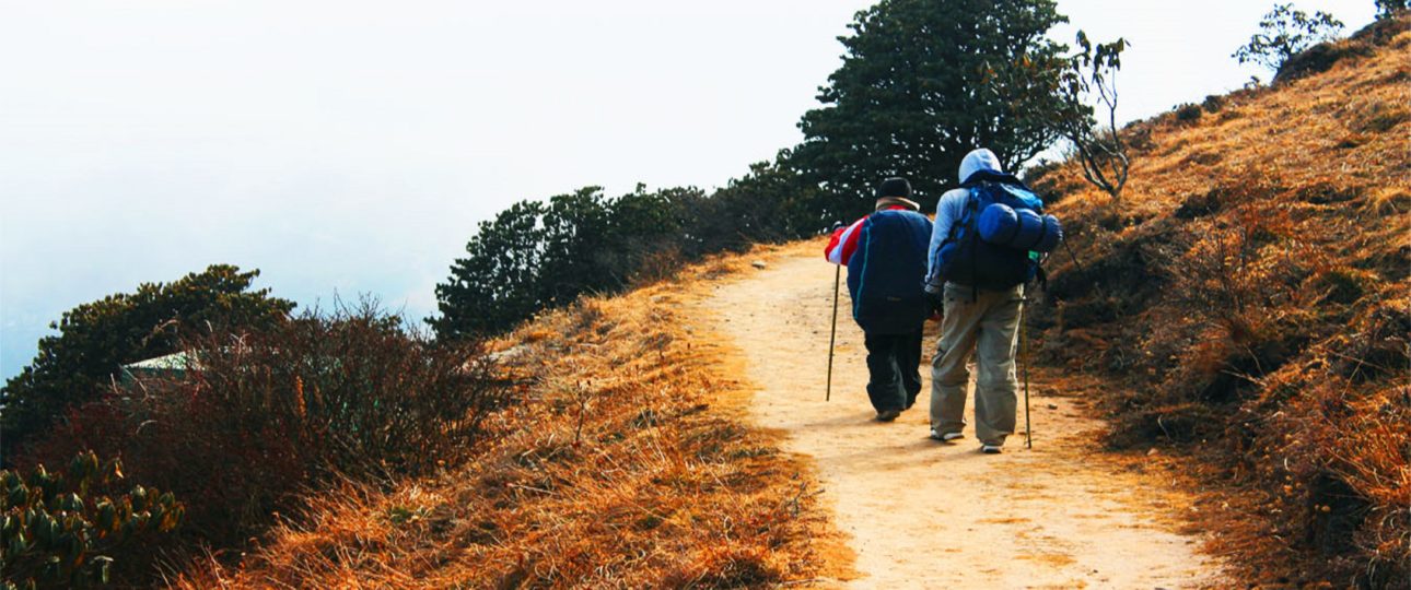 Sandakphu trek- Best trek in North Bengal via Ribdi-Gorkhey-Phalut