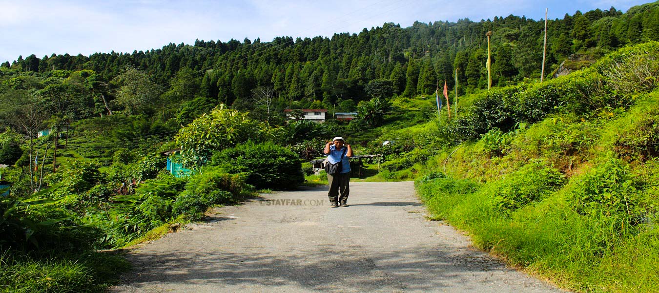 Gumbadara Viewpoint Homestay in Tinchuley | Homestay near Darjeeling