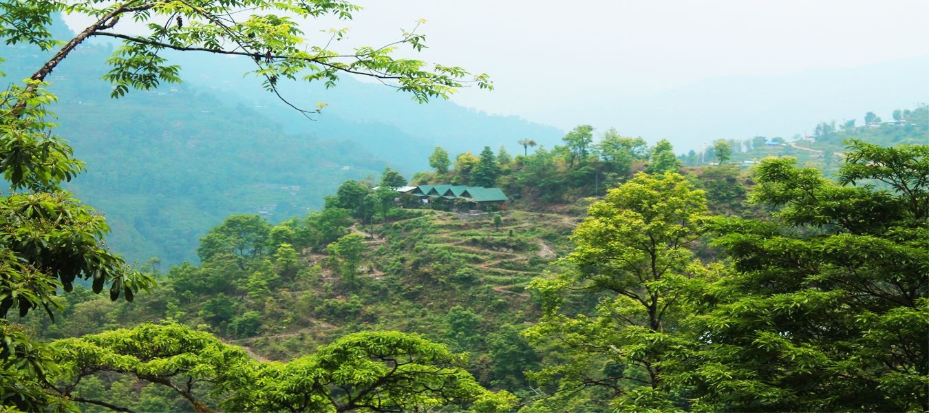 Kolakham Homestay | Homestay in Kolakham | Neora valley national park