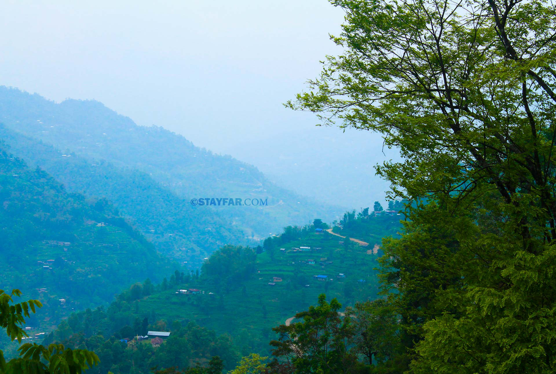 Kolakham Homestay | Homestay in Kolakham | Neora valley national park