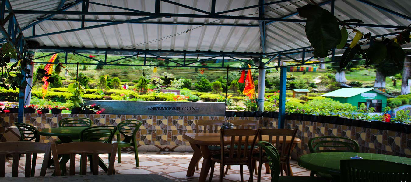 Lamahatta homestay | Lamahatta eco park | Stayfar