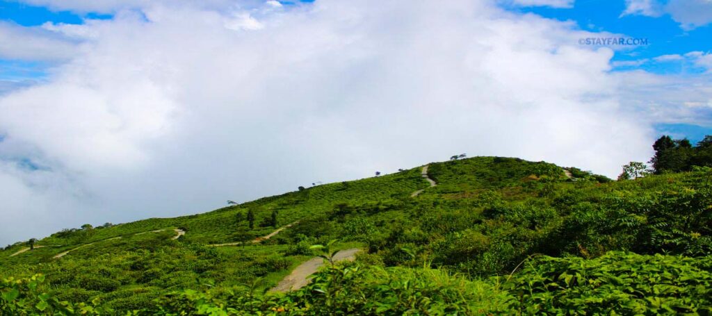 Tinchuley homestay | Homestay near Gumbadara viewpoint at Tinchuley