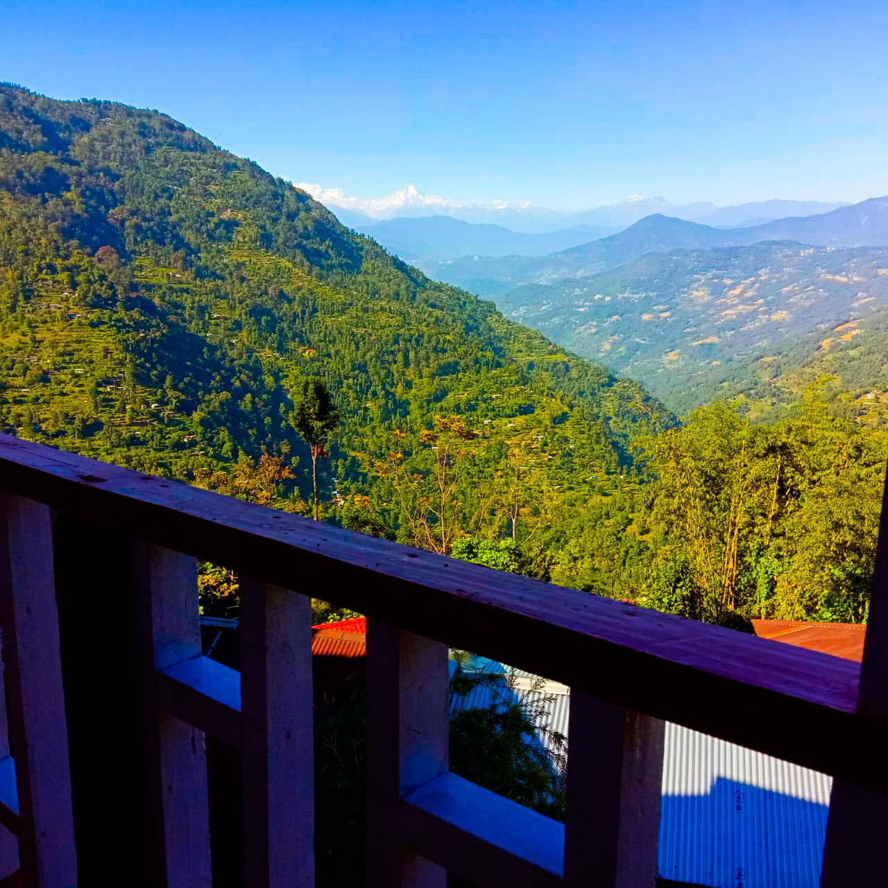 Kolakham Homestay | Homestay in Kolakham | Neora valley national park