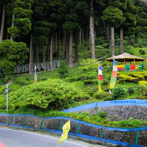 Lamahatta homestay | Lamahatta eco park | Stayfar